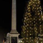 London Christmas Lights Private Tour by Traditional Black Cab - The Value of This Tour