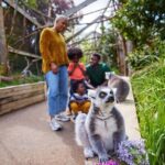 London Zoo Entry Ticket - Who Should Consider This Tour?