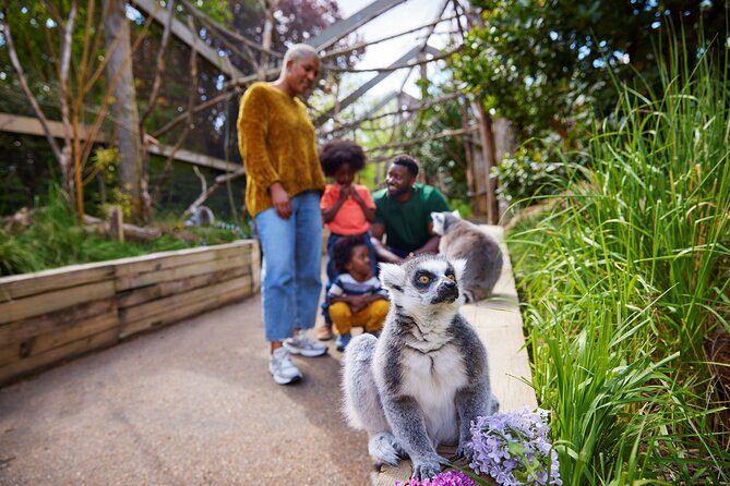London Zoo Entry Ticket - Who Should Consider This Tour?