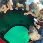 Long Beach Glass Bottom Boat Eco-Tour - Real Traveler Perspectives: What They Love and What They Want Improved