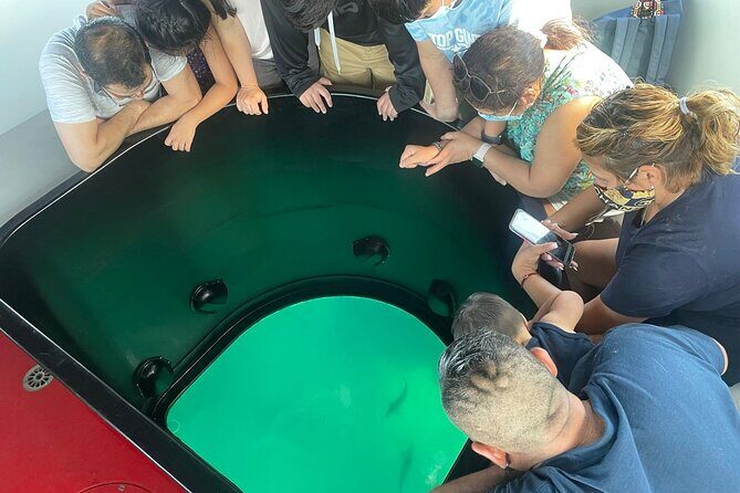 Long Beach Glass Bottom Boat Eco-Tour - Real Traveler Perspectives: What They Love and What They Want Improved