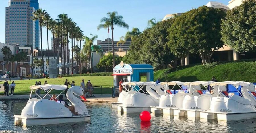 Long Beach: Swan Boat Rental at Rainbow Lagoon - What Makes it Worth the Price?