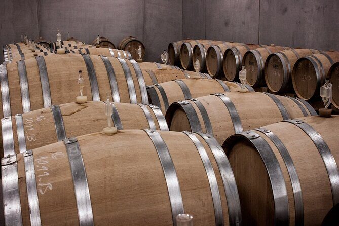 Long Island Wine Tour North Fork Sights, Bites & Flights Full-Day - A Deep Dive Into the Itinerary