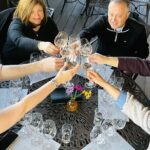 Long Island Wine Tour North Fork Sights Bites Flights Half Day AM - Transportation & Comfort