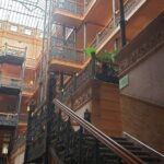 Looney Los Angeles Scavenger Hunt - What You’ll Visit and Do