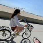 Los Angeles: Beach E-Bike Ride Redondo Beach to Santa Monica - Who is This Tour Best For?