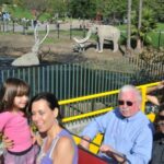 Los Angeles: City Sightseeing Hop-On Hop-Off with 4 Routes - The Added Charm: Hollywood Celebrity Homes Tour