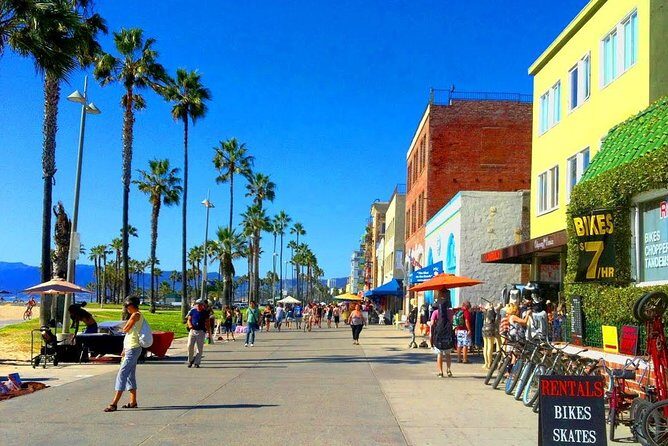 Los Angeles Coast and Beaches Private Tour - Transportation and Logistics: Why It Matters