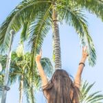 Los Angeles Half-Day Tour - Downtown, Hollywood, Rodeo Drive, Farmer's Market - The Architectural Marvels: Walt Disney Concert Hall and Dorothy Chandler Pavilion