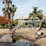 Los Angeles: La Brea Tar Pits Museum Ticket - Experience Breakdown and What You’ll Love