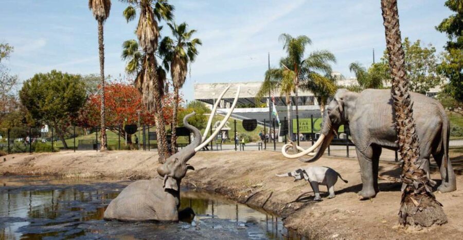 Los Angeles: La Brea Tar Pits Museum Ticket - Experience Breakdown and What You’ll Love