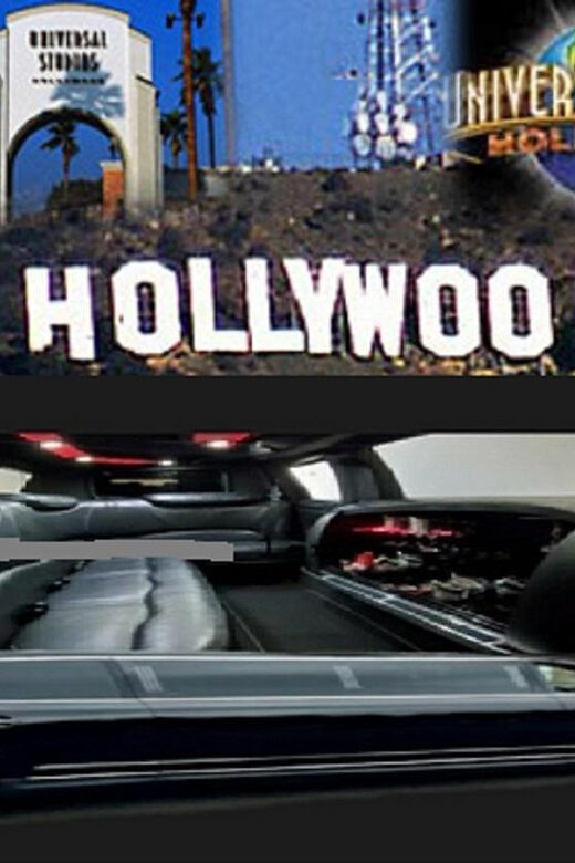 Los Angeles: Private Sightseeing Tour in a Limousine - 4hrs - An In-Depth Look at the Tour Experience