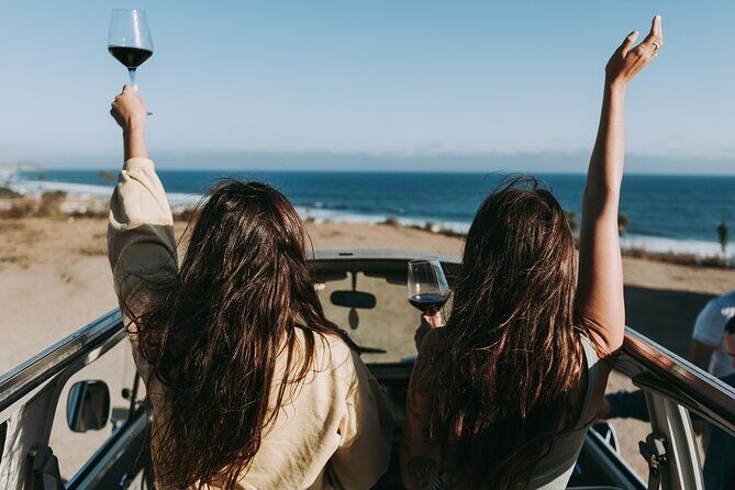 Los Angeles: Private Vintage VW Bus Tour in Malibu - Exploring Malibu’s Vineyards and Wineries