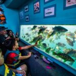 Los Angeles: Redondo Beach Glass Bottom Boat Cruise - What to Expect: The Itinerary Deep Dive