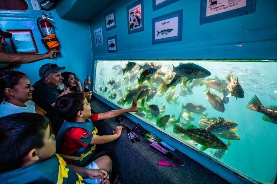 Los Angeles: Redondo Beach Glass Bottom Boat Cruise - What to Expect: The Itinerary Deep Dive