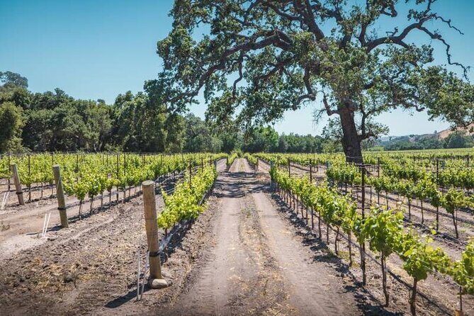 Los Angeles: Wine Experience at Fess Parker Winery by Helicopter - The Fess Parker Winery Experience