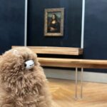 Louvre: All the stars of museum - Private guided 3h tour & entry - What Travelers Say About This Tour