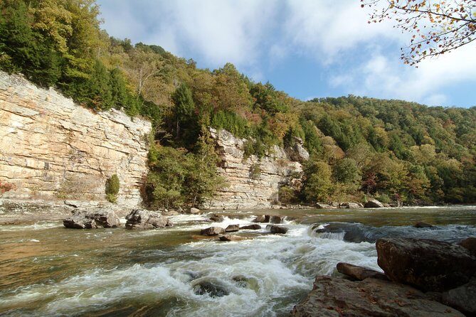 Lower Gauley River Whitewater Rafting Trip - The Guide Experience & Safety Measures