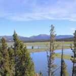 Lower Loop Yellowstone Wildlife Scenic - Jackson Hole Day Tour | WY - The Travel Experience: What You Can Expect