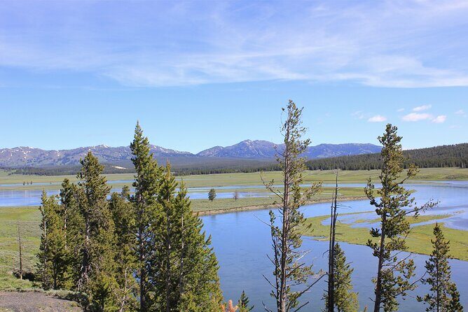 Lower Loop Yellowstone Wildlife Scenic - Jackson Hole Day Tour | WY - The Travel Experience: What You Can Expect