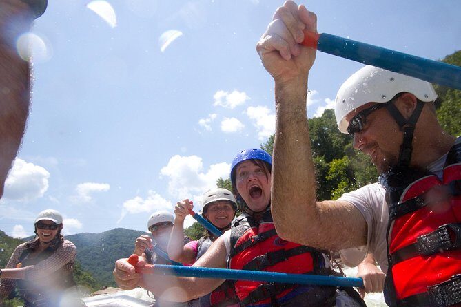 Lower New River Whitewater Rafting Trip - A Clear and Practical Starting Point