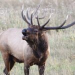 Lower Valley Tour RMNP - How the Itinerary is Structured and What to Expect