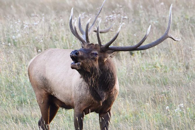 Lower Valley Tour RMNP - How the Itinerary is Structured and What to Expect