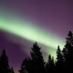 Luleå: Northern Lights Snowshoeing Tour - Who Should Consider This Tour?