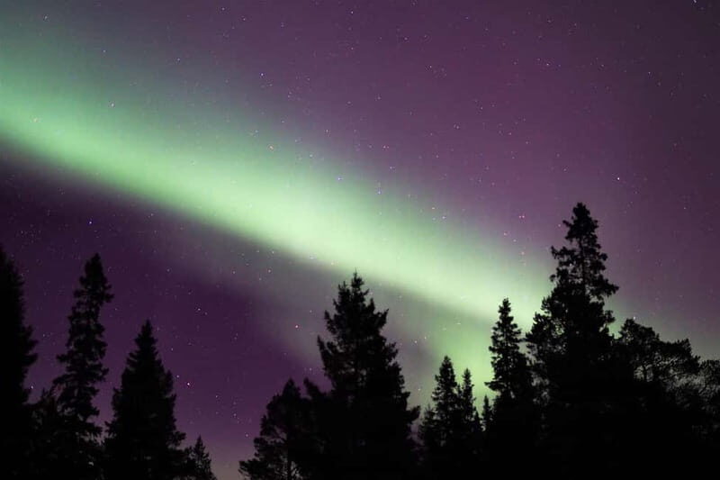 Luleå: Northern Lights Snowshoeing Tour - Who Should Consider This Tour?