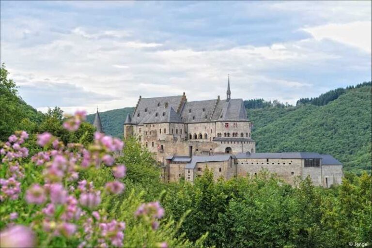 Luxembourg: Vianden Castle Entry Ticket - Who Will Love This Experience?