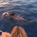 Luxury 3 Hour Yacht Private Charter - Food and Drinks: Elevating the Experience