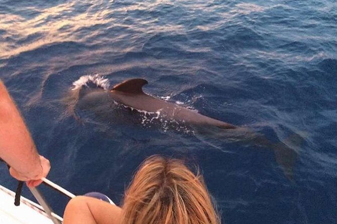 Luxury 3 Hour Yacht Private Charter - Food and Drinks: Elevating the Experience