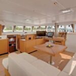 Luxury Hawaiian Sea Turtle, Dolphin Sail and Kona Snorkel - The Marine Environment: What Youll See and Do