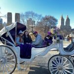 Luxury Horse and Carriage Tours in Central Park - Detailed Itinerary and What to Expect