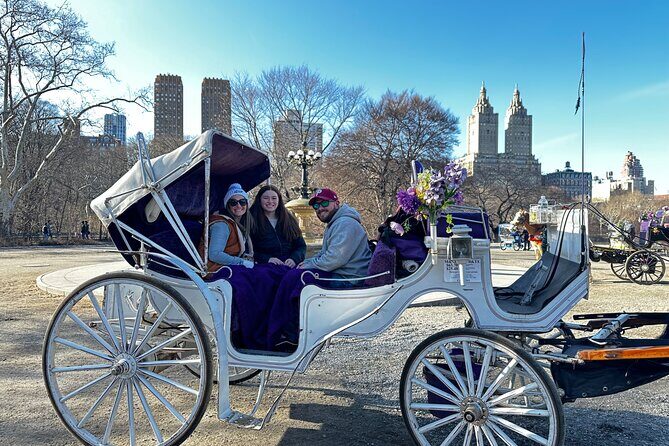 Luxury Horse and Carriage Tours in Central Park - Detailed Itinerary and What to Expect