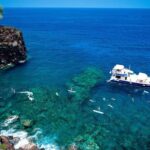 Luxury Kona Coast Snorkel Tour Including Lunch - Meals & Amenities: Comfort Meets Sustainability