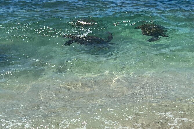 Luxury Private Circle Island Charter Tour - Frequently Asked Questions