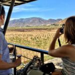 Luxury Private Wine Tasting Tour to Guadalupe Valley from San Diego - The Details That Matter