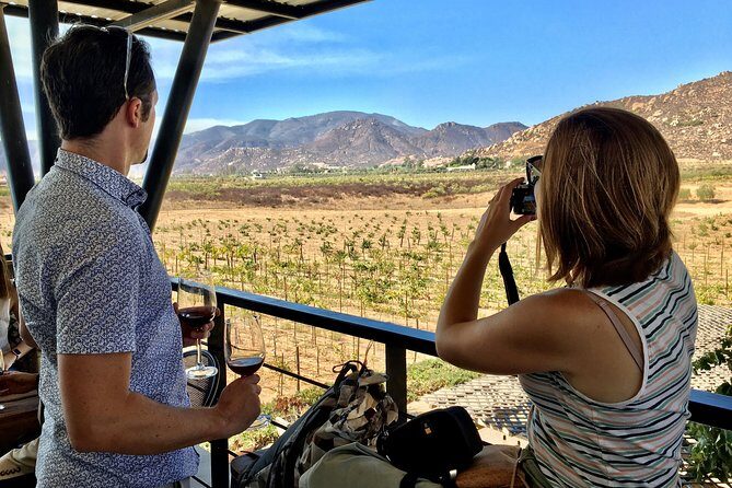 Luxury Private Wine Tasting Tour to Guadalupe Valley from San Diego - The Details That Matter