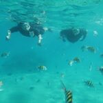 Luxury Snorkeling on Your Vacation Exclusively Private Guaranteed - What the Tour Entails: A Deep Dive into the Experience