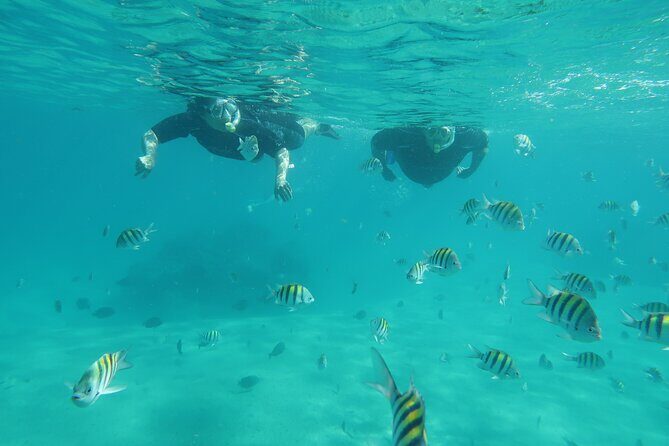 Luxury Snorkeling on Your Vacation Exclusively Private Guaranteed - What the Tour Entails: A Deep Dive into the Experience