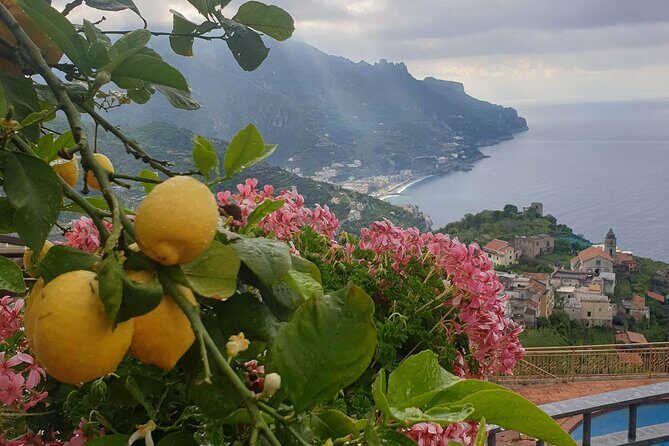 Luxury Tour from Positano to Pompei Ravello Amalfi - Amalfi: The Historic Coastal Town