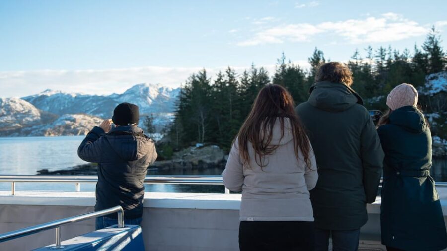 Lysefjorden cruise & Preikestolen guided hike - winter - A Well-Rounded Day for Nature Lovers and Adventurers