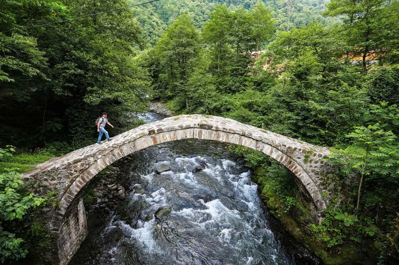 Machakhela Gorge Wine Tour with Lunch From Batumi - Practical Details & Value