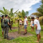 Macnut Tour, Picnic lunch and Maui Bees - The Farm-to-Table Lunch: A Delicious Closure