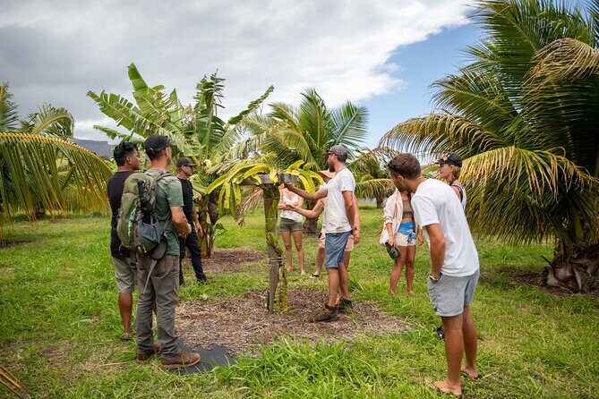 Macnut Tour, Picnic lunch and Maui Bees - The Farm-to-Table Lunch: A Delicious Closure