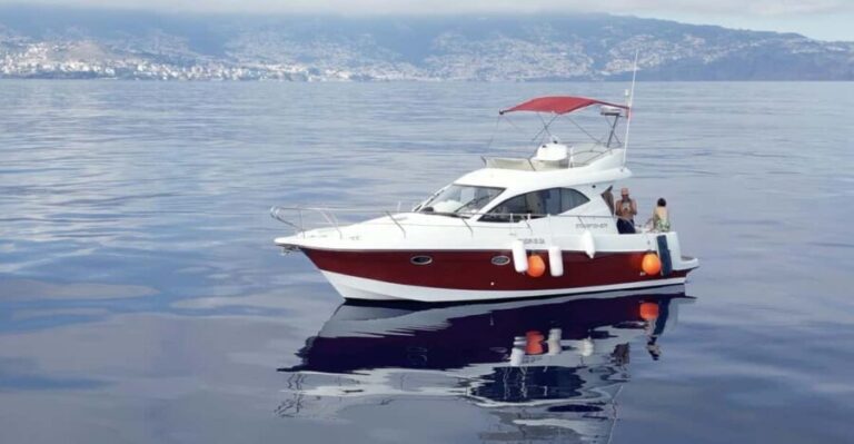 Madeira: Boat trip - Who is This Tour Best For?