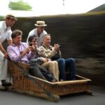 Madeira Half-Day Sightseeing Private Tour with Wine Tasting - In Summary