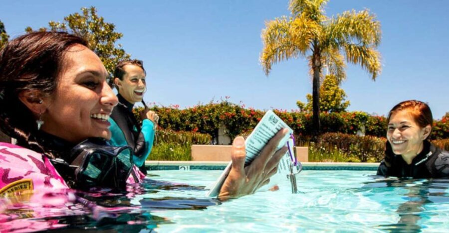 Madeira: Open Water Diver First Certification Course - What You’ll Do: A Day-by-Day Breakdown