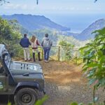 Madeira: Pico Arieiro Sunrise Private Jeep Tour - The Overview: A Morning Like No Other